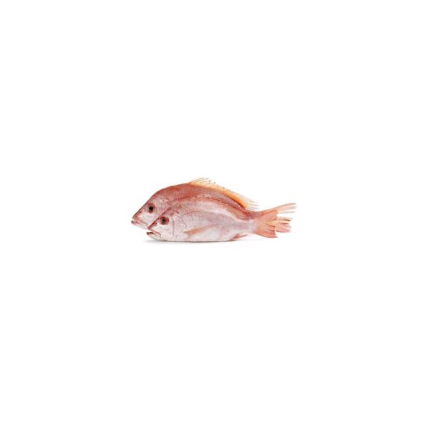 Buy COLES FRESH WHOLE SADDLETAIL SNAPPER | Coles