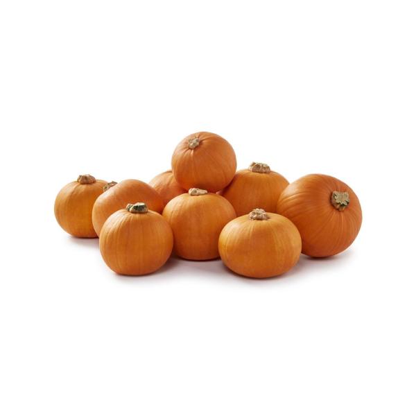 Buy COLES FRESH HALLOWEEN MINI JACK PUMPKIN | Coles