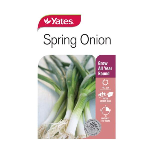 Buy Yates Seeds Spring Onion 1 each | Coles