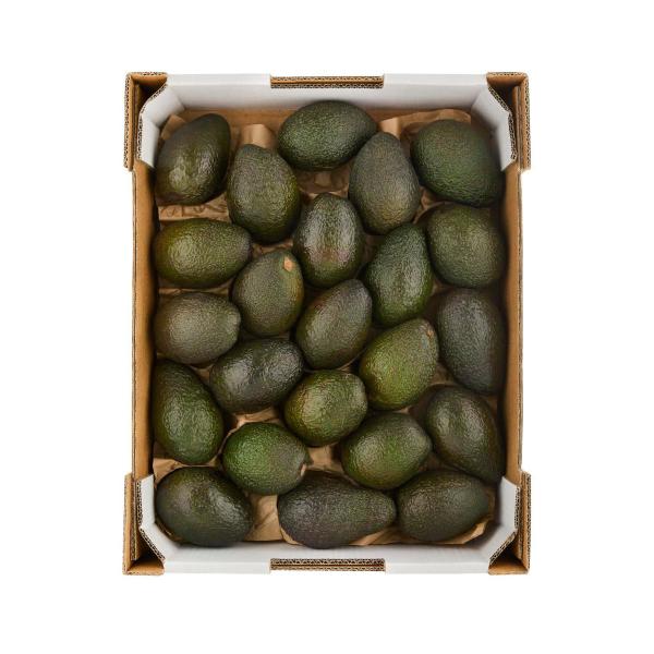 Buy FRESH AVOCADO HASS 23 PER TRAY | Coles