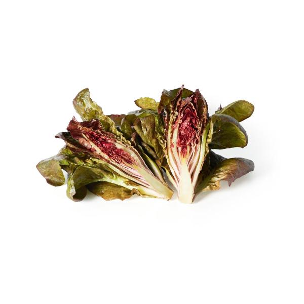 Buy NATOORA PINK HEART COS LETTUCE | Coles