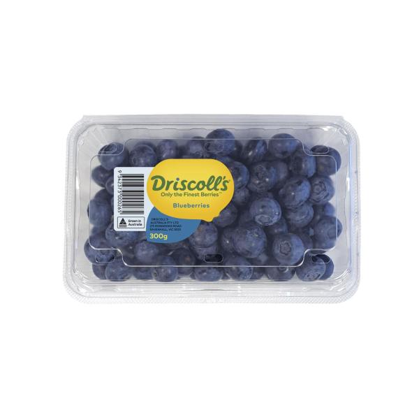 Buy FRESH. BLUEBERRIES | Coles