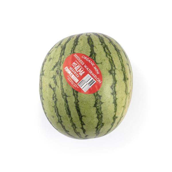 Buy Coles Organic Mini Melon approx. 1.8Kg | Coles