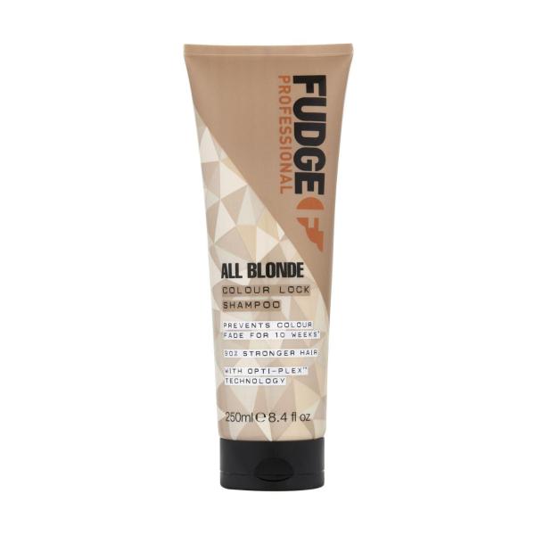 Buy FUDGE PROFESSIONAL ALL BL COLOUR LOCK SHAMPOO | Coles