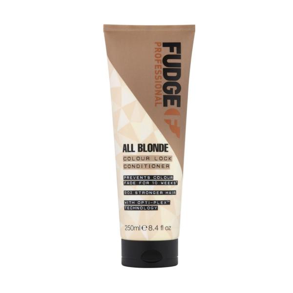 Buy FUDGE PROFESSIONAL ALL BL COLOUR LOCK CONDITIONER | Coles