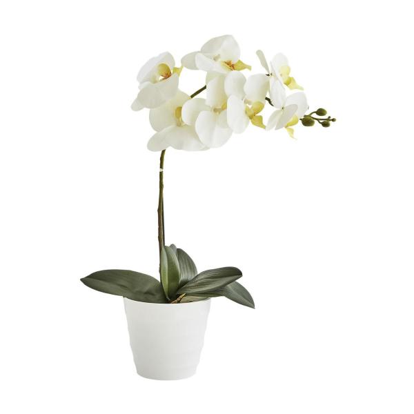 Flower coles store